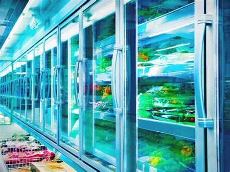 Iot Enabled Agriculture And Smart Farming Edn Asia