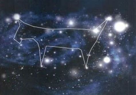 Sensitivities And Constructed Realities Olga Bogdashina