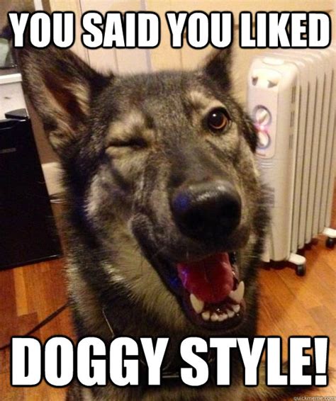 You Said You Liked Doggy Style Pickup Pup Quickmeme