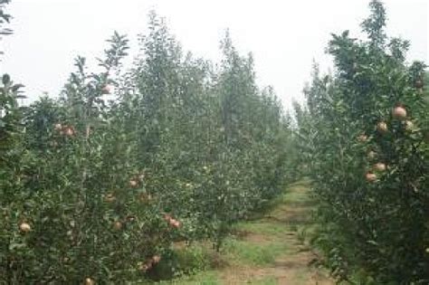 内丘镇搜狗百科