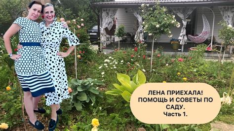 ДРУГ В САДУ НЕ БРОСИТ ПОДРУЖКИ СПЕШАТ НА ПОМОЩЬ ЛЕНА ГВОЗДЕВА Часть 1