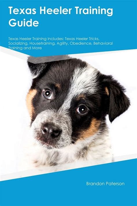 Texas Heeler Training Guide Texas Heeler Training Includes Texas