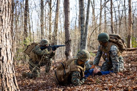 Dvids News Interagency Coordination Enhances Training Evolution For Noncommissioned Officers