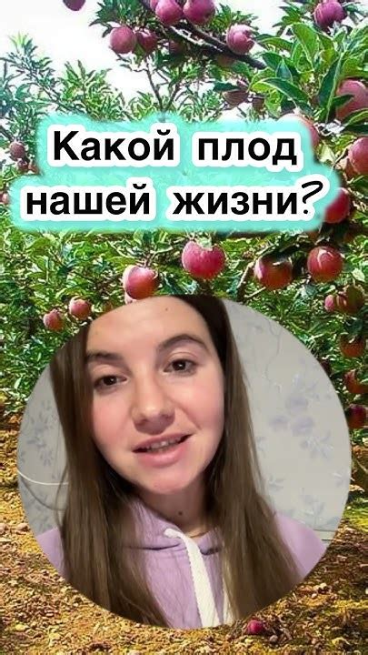 Какой плод нашей жизни Youtube