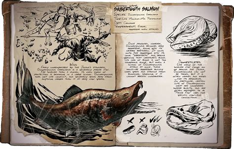 Sabertooth Salmon Spawn Locations Ark Survival Ascended Wikily Gg