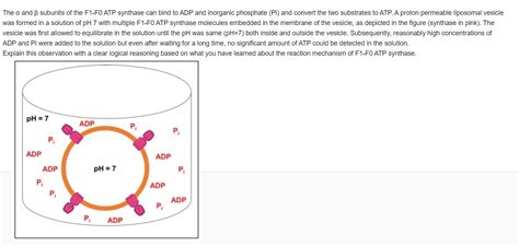 Solved The A And ß Subunits Of The F1 F0 Atp Synthase Can