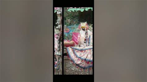 चिक दर्शन व मंगला आरती श्री राधावल्लभ लाल मंदिर श्री वृन्दावन धाम