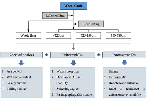 Experimental Research Design Diagram Schematic Presentation