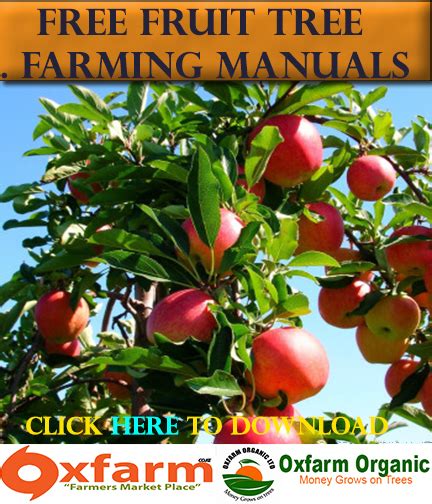 Passion Fruit” Farming Guide Oxfarm Organic Ltd