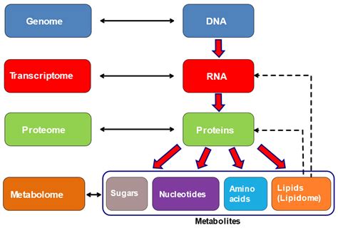 Omics Technologies For Diagnosis Of Infectious Diseases A Review V1