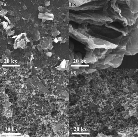 SEM Micrographs Of Electrodes Modified With A GO B FGO C