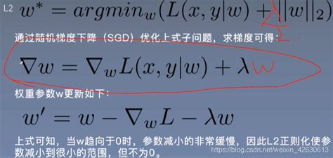 轻量化网络学习 7 非结构化剪枝learning Both Weights And Connections Csdn博客