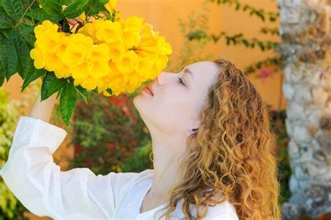 Why Do Flowers Smell Good Dragonetti Florist And Garden Center