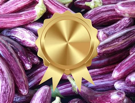 Iowa Man Breaks World Record For Largest Eggplant