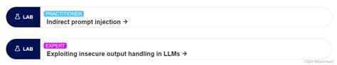 译文 Llm安全：3网络llm攻击及提示注入知识普及（portswigger）llm Attack Csdn博客