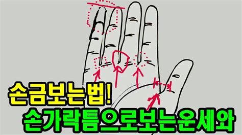 손금보는법 손가락 사이의 틈벌어짐으로 보는 운세와 인연 Youtube