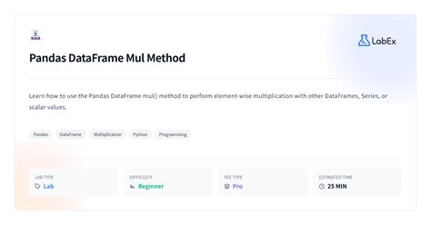 Pandas Dataframe 곱셈 Python 프로그래밍 판다스 곱셈 Labex