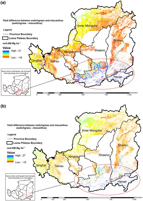 The Biomass Yield Difference Between Switchgrass And Miscanthus On The
