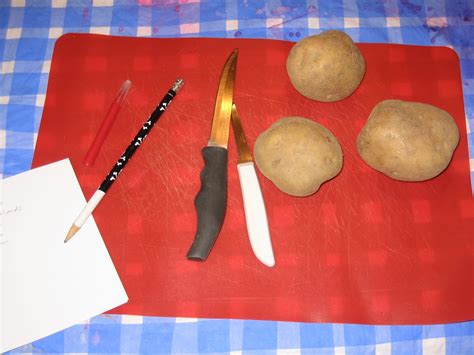 Mamacita Spins The Globe Can I Stamp Your Passport