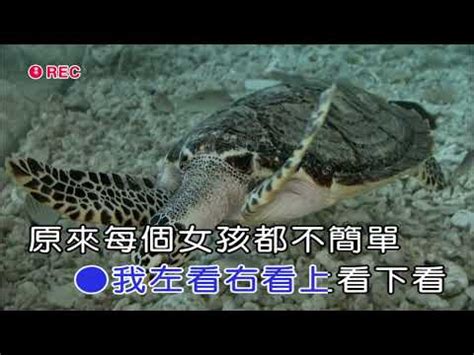 對面的女孩看過來 任賢齊卡啦OK伴唱 YouTube
