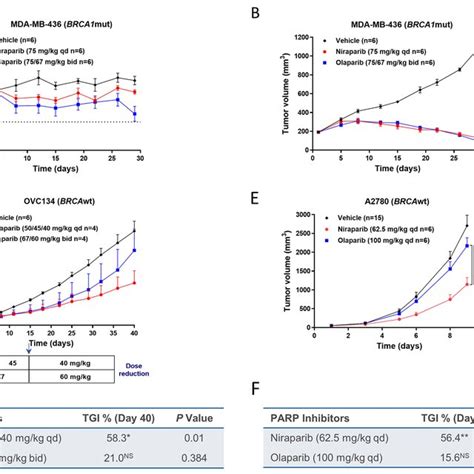 Effect Of Niraparib And Olaparib On Tumor Volume And Body Weight In A