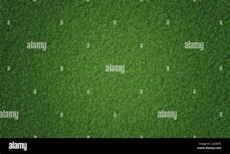 Top View Of Natural Fresh Green Grassy Background Nature And Wallpaper