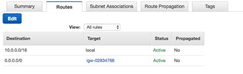 Amazon Ec2 Ecs Cluster Has No Ecs Instances But Two Ecs Instances Are