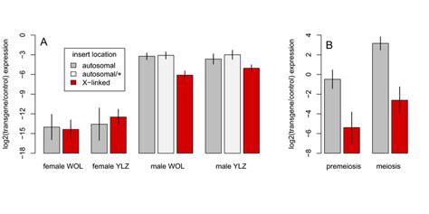 Sex Chromosome And Spermatogenic Stage Effects On The Expression Of