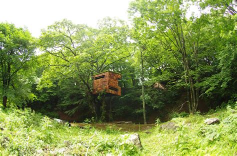 Takashi Kobayashi Tree House Master
