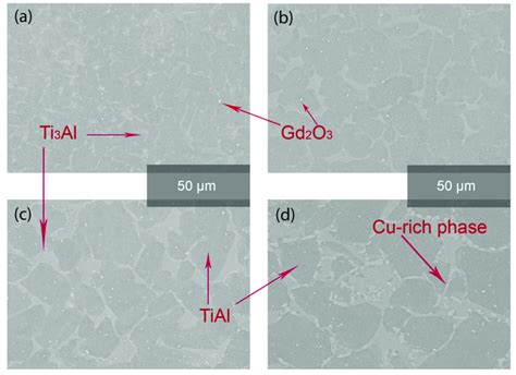 Bse Sem Images Showing The Microstructure Of The Download