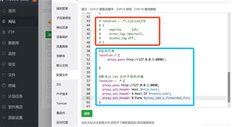 宝塔 Springboot Jar 配置域名 后 Css Js 等 静态文件 404 访问不到宝塔面板配置springboot项目绑定域名