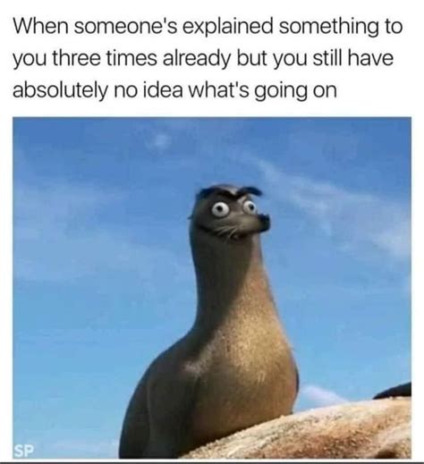 When Someones Explained Something To You Three Times Already But You