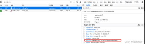 Nssctf之web篇刷题记录12 Csdn博客