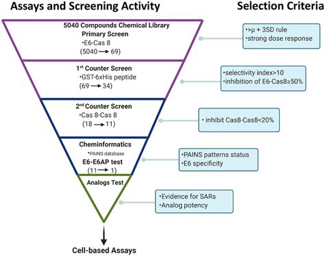Summary Of High Content Screening Strategy Screening Funnel Scheme Download Scientific Diagram