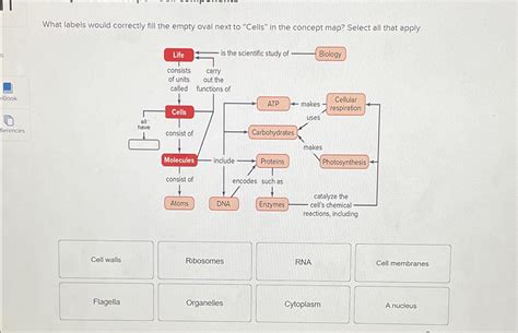 Solved What Labels Would Correctly Fill The Empty Oval Next