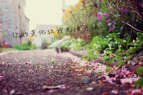 花被雨淋的优美句子 雨中花的句子 形容雨中花朵的美 第3页 大山谷图库