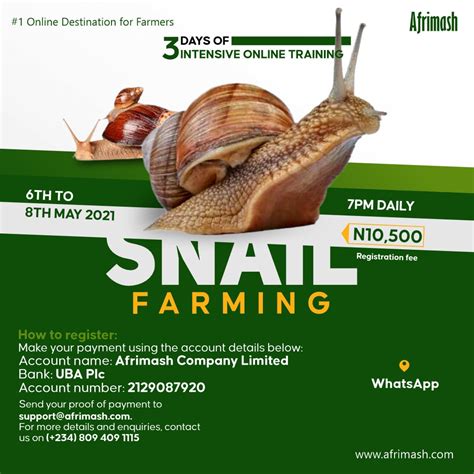 Snail Production New User Nigeria