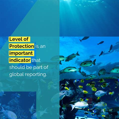Publication Ocean Protection Quality Is Lagging Behind Quantity