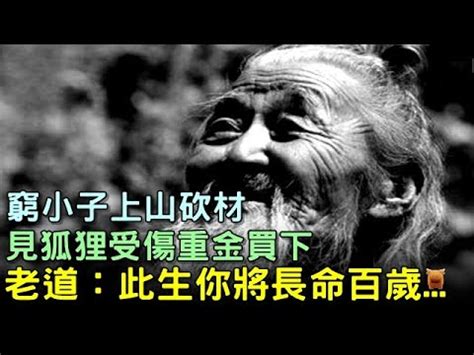 民間故事窮小子見狐狸受傷重金買下老道此生你將長命百歲 YouTube