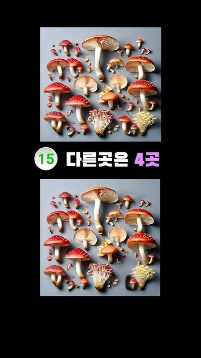 여러분의 두뇌는 건강하십니까 Youtube