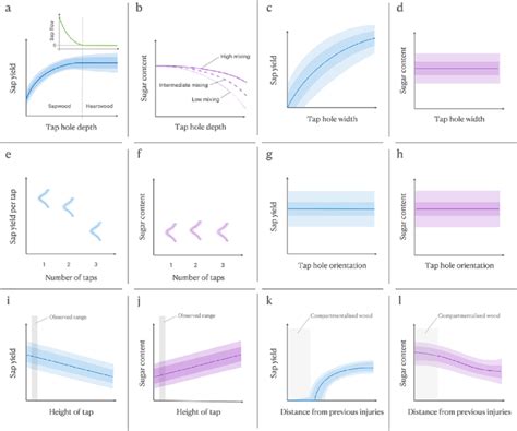 Visual Hypotheses Of The Relationships Between Sap Yield Blue Curves Download Scientific