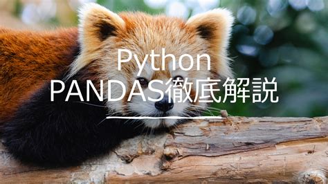 Python Pandas Dataframe Tanudon Room