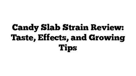 Candy Slab Strain Review A Sweet Delight For Cannabis Enthusiasts 420 Big Bud