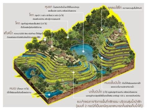 การกักเก็บน้ำใน โคก หนอง นา โมเดล ตัวอย่าง 10 ไร่ สวนหม่อนไม้ สวนกสิ