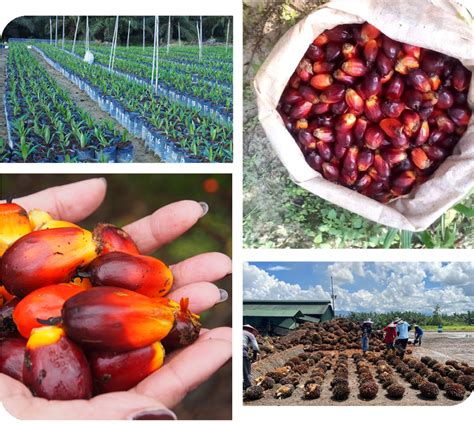 Home Harn Len Corporation Bhd