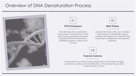 Overview Of Dna Denaturation Process Ppt Slides Acp Ppt Presentation
