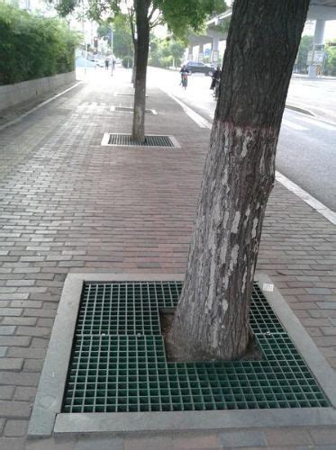 玻璃钢树篦子承重多少
