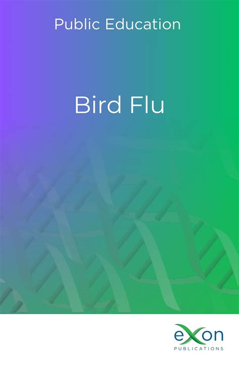 Bird Flu Public Education Exon Publications