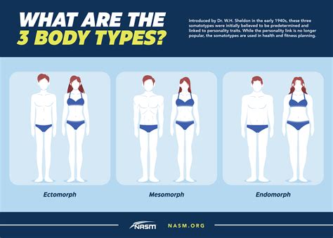 Body Types Mesomorph Ectomorph And Endomorph Explained Mesomorph