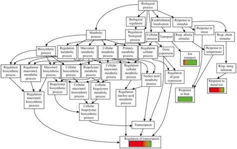 Red Color Indicates Up Regulation Green Color Indicates Down